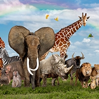 Grade 6 Reading Room | Think Digital Academy